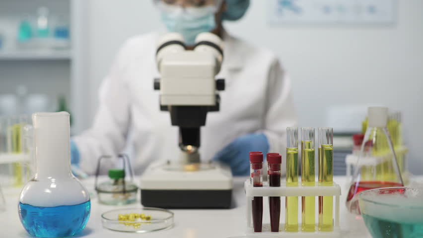 medical scientist viewing samples microorganisms on Stock Footage Video ...