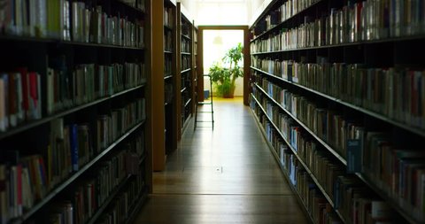 Library Couple Love Kissing Hug Carried Stock Footage Video (100% ...