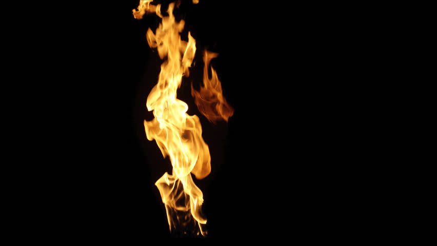 real fire flame alpha shot on Stock Footage Video (100% Royalty-free ...