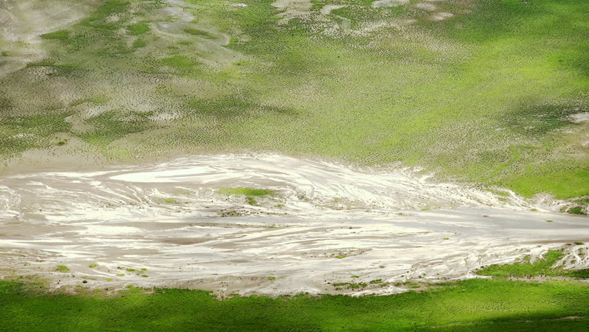 Mottled java Stock Video Footage - 4K and HD Video Clips | Shutterstock