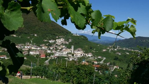 July 2016 Prosecco Country Tthe Prosecco Stock Footage Video (100% ...