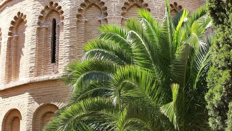 Green Pain Tree Leaves Wind Architectural Stock Footage Video (100% ...