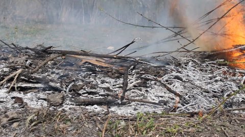 Aftermath Forest Fire Stock Footage Video (100% Royalty-free) 26046467 ...