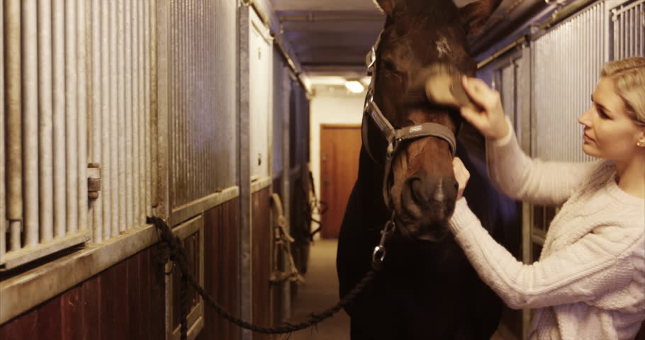 woman getting horse ready Stock Footage Video (100% Royalty-free ...
