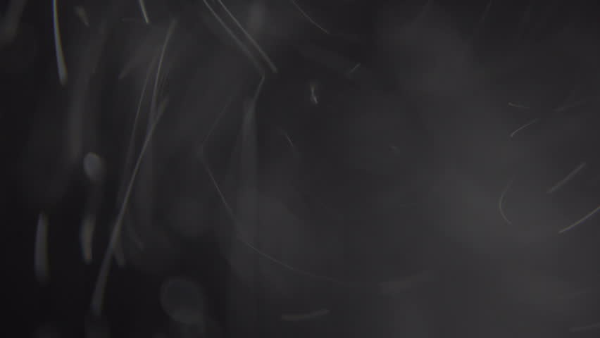 White Dust Particles Flying On Black Stock Footage Video (100% Royalty ...