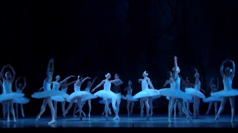 Zebra Run Cycle Animation Frames Loop Stock Vector (Royalty Free) 1663568365