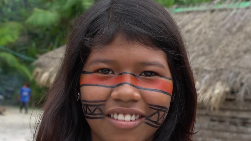 Tupi Guarani Footage Stock Clips