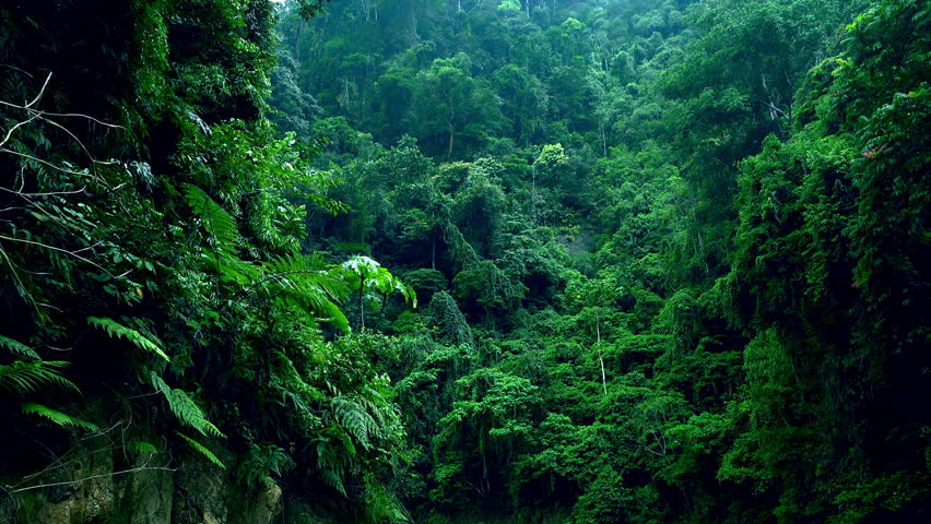 Hillside landscape with shrubs image - Free stock photo - Public Domain ...