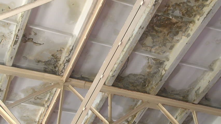 building ruined moisture mould damage walls Stock Footage Video (100% ...