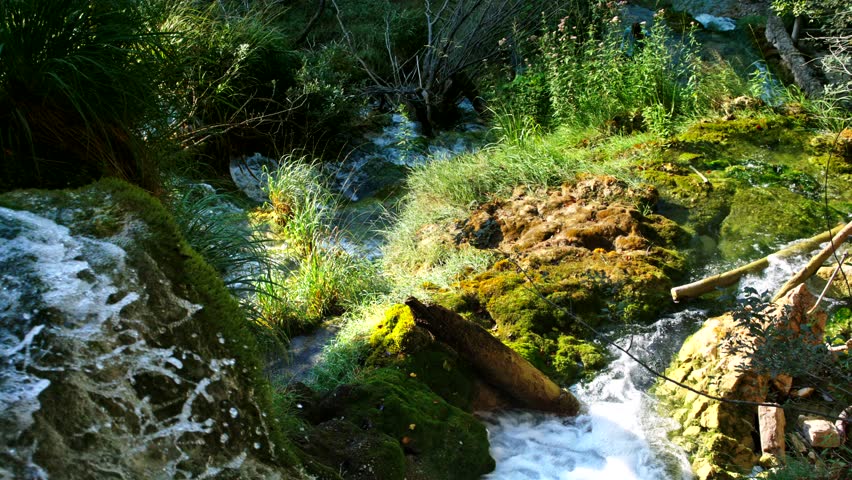 stones stream smooth flowing water Stock Footage Video (100% Royalty ...