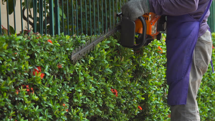 Chainsaw lawn mower Stock Video Footage - 4K and HD Video Clips ...
