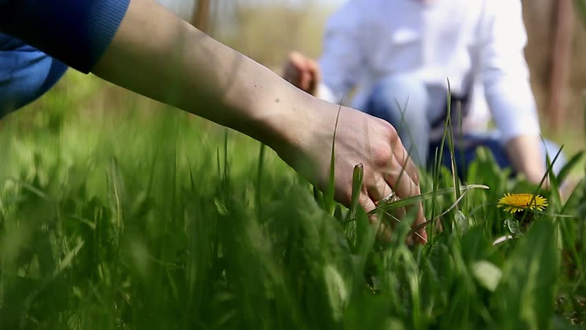 farmer hand man working field inspects Stock Footage Video (100% ...