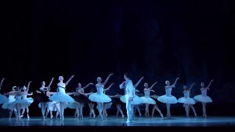 Zebra Run Cycle Animation Frames Loop Stock Vector (Royalty Free) 1663568365