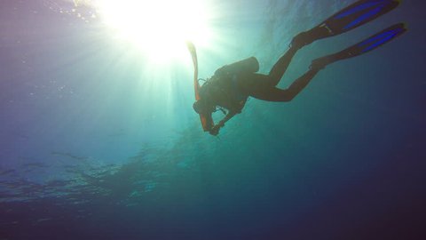 freediver turtle natural habitat slow motion Stock Footage Video (100% ...