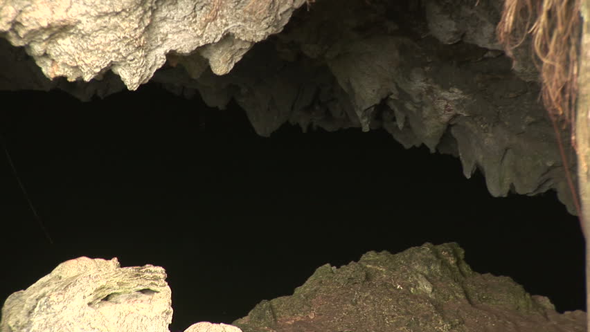 Close-up of Morgans Cave in Stock Footage Video (100% Royalty-free ...