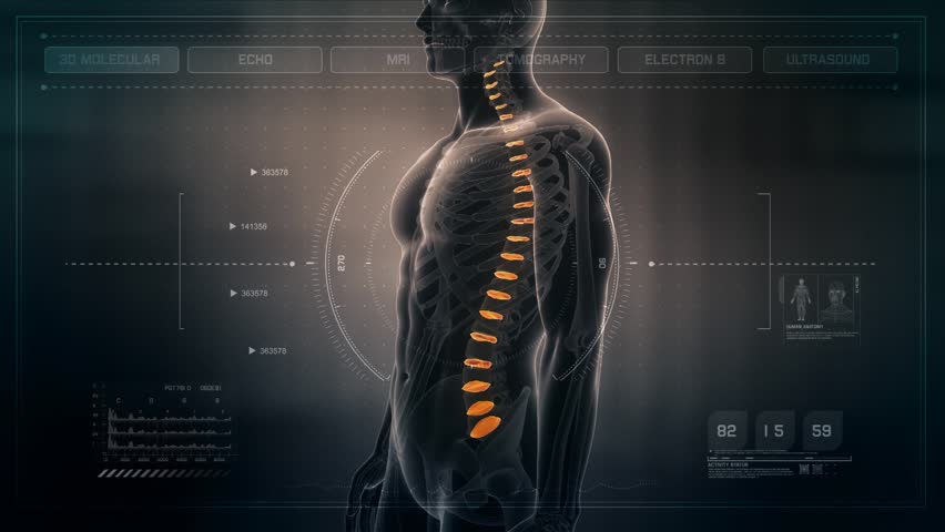 Chiropractic Vectors Stock Video Footage - 4K and HD Video Clips ...