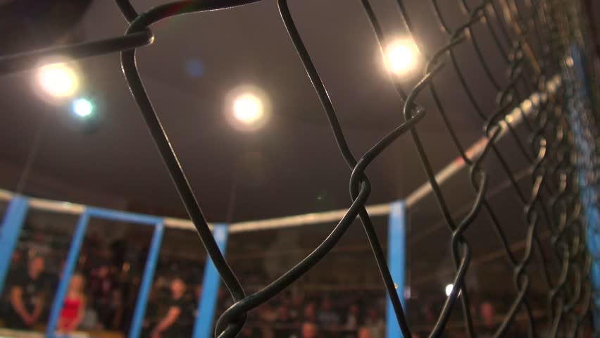 Empty Mma Cage Arena Octagon Stock Footage Video (100% Royalty-free ...