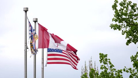 Slow Motion Various World Flags Flying Stock Footage Video (100% ...
