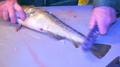 Cod Codfish Strong Man Rubber Working Stock Footage Video (100% Royalty ...