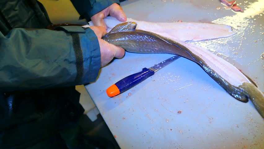 hands worker gutting common ling fish Stock Footage Video (100% Royalty ...