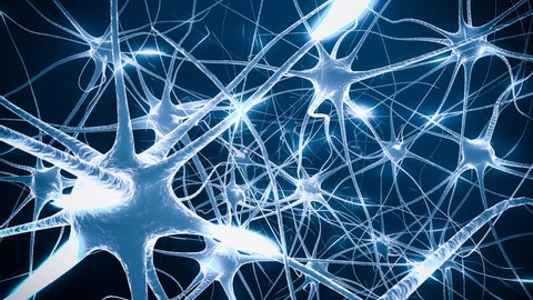 Neurons Brain Loop 3d Animation Neural Stock Footage Video (100% ...