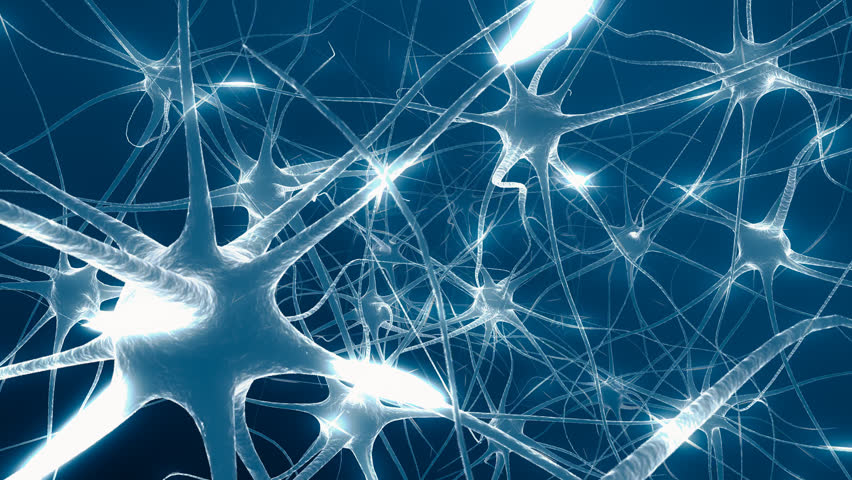 neurons brain loop 3d animation neural Stock Footage Video (100% ...