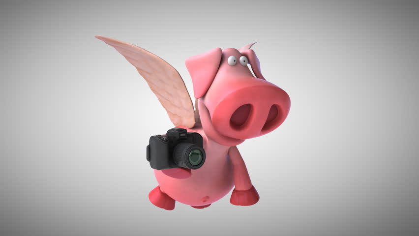 Flying Pig - Computer Animation Stock Footage Video (100% Royalty-free ...