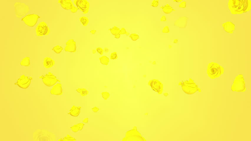 Spreading 3d Yellow Roses Animation Stock Footage Video (100% Royalty ...
