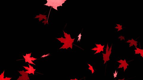 Falling Maple Leaves Animation Alpha Channel Stock Footage Video (100% ...