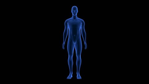 Blue Human Anatomy Body 3d Scan Stock Footage Video (100% Royalty-free ...