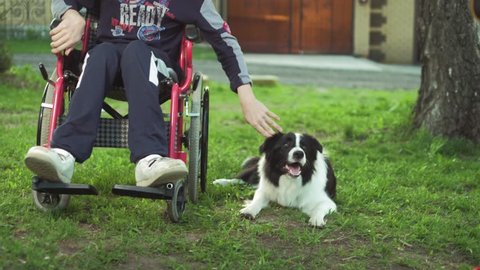 Disabled Person Plays Dog Canitis Therapy Stock Footage Video (100% ...