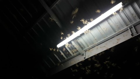 Blue Glow Water Nuclear Reactor Core Stock Photo 1873697335 | Shutterstock