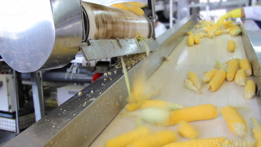 corn processing factory Stock Footage Video (100% Royalty-free) 2735177 ...