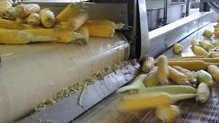 corn processing factory Stock Footage Video (100% Royalty-free) 2735186 ...