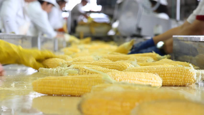 corn processing factory Stock Footage Video (100% Royalty-free) 2735189 ...