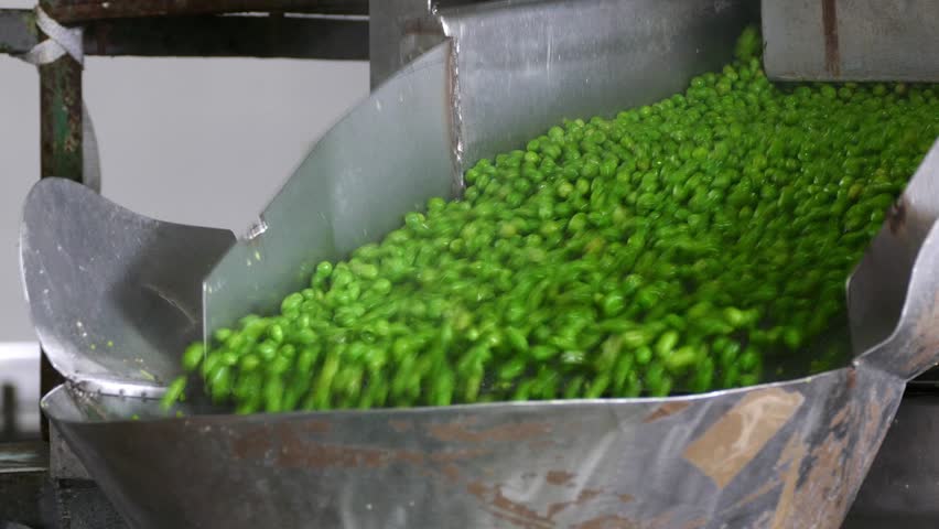 production green peas food processing factory Stock Footage Video (100% ...