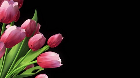 Animation Rotation Realistic Bouquet Flowers On Stock Footage Video ...