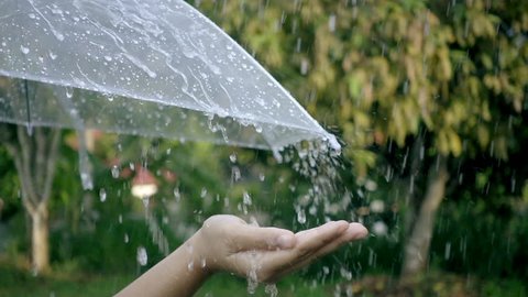 Closeup Lady Hand Touch Drop Rain Stock Footage Video (100% Royalty ...