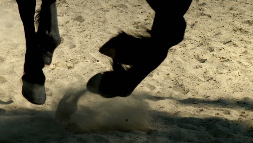Galloping Horse Slow Motion Legs Stock Footage Video (100% Royalty-free ...