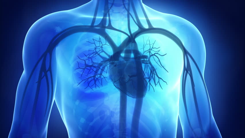 Human Heart X-ray Look in Stock Footage Video (100% Royalty-free ...