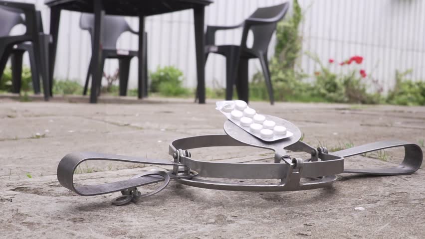 Roofinol Stock Video Footage - 4K and HD Video Clips | Shutterstock