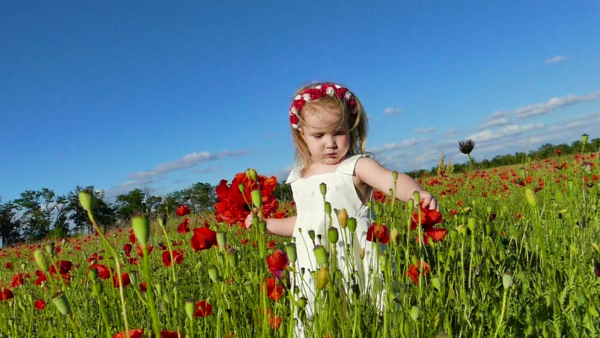 Little Girl in a Poppy Stock Footage Video (100% Royalty-free) 27735640 ...