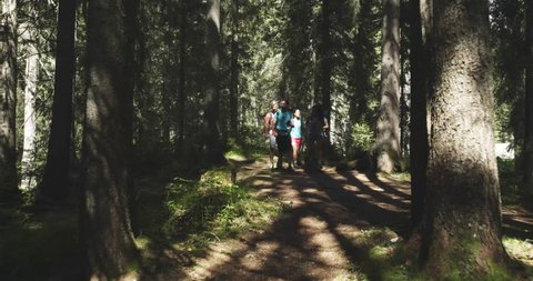 running man forest runner fit athlete Stock Footage Video (100% Royalty ...