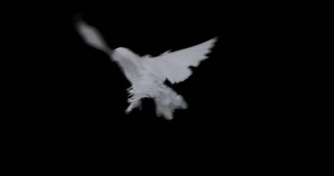 Flying Dove On Alpha Channel 200 Stock Footage Video (100% Royalty-free ...