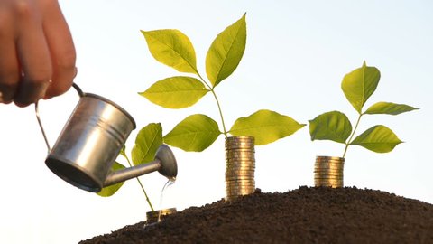 Financial Investment Growth Increase Earning Profit Stock Vector ...