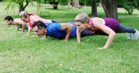 Group Fit People Doing Pushup Exercise Stock Footage Video (100% ...