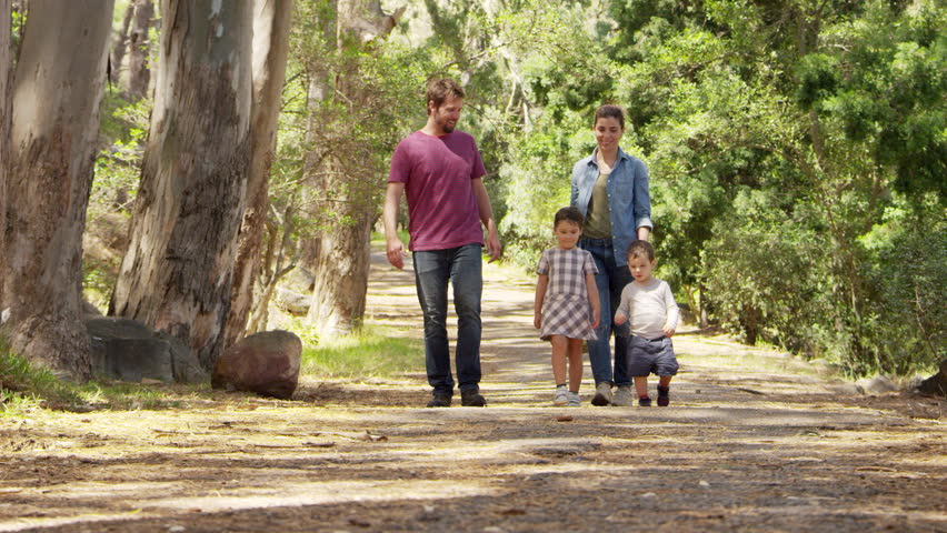 Family Walking Along Path Through Stock Footage Video (100% Royalty ...
