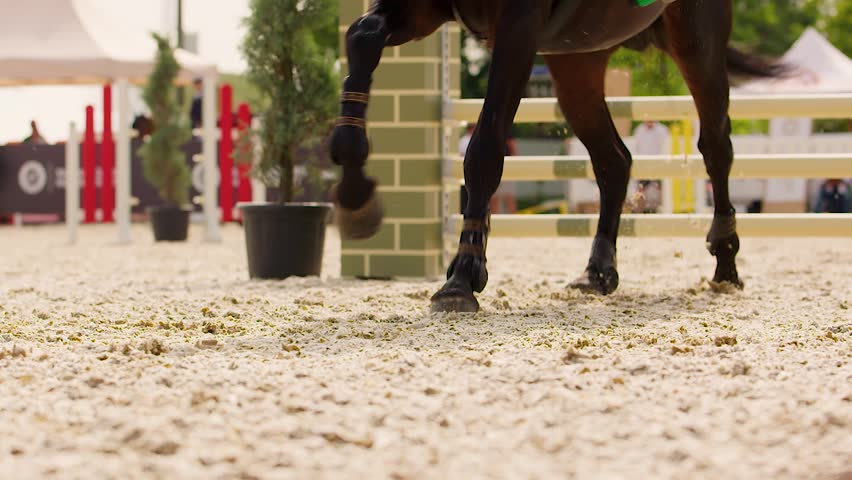 Horse Racing contestants in a race image - Free stock photo - Public ...