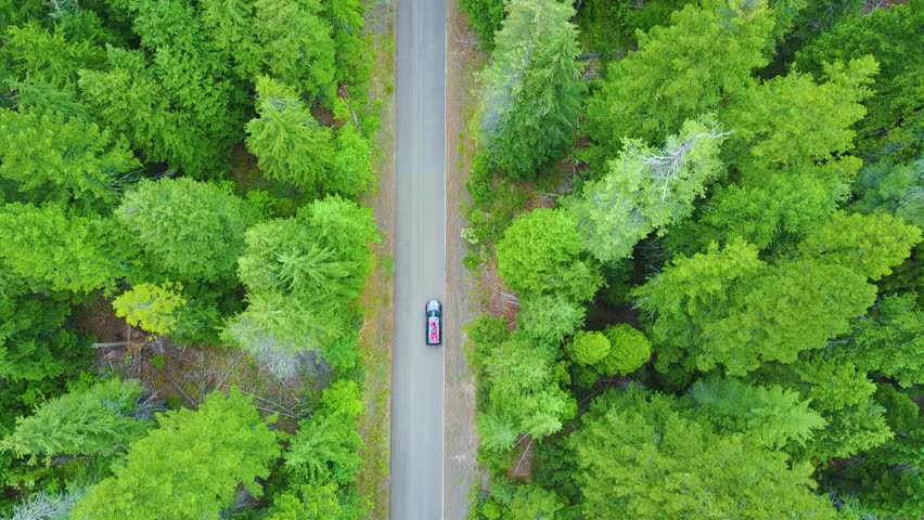 overhead shot car driving through forested Stock Footage Video (100% ...