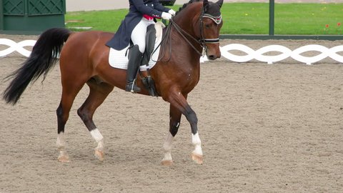 Graceful Performance Riding Rider Traditional Costume Stock Footage ...